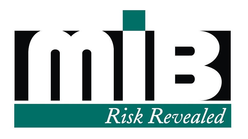 Bruce Baude Becomes New MIB Group Chairman